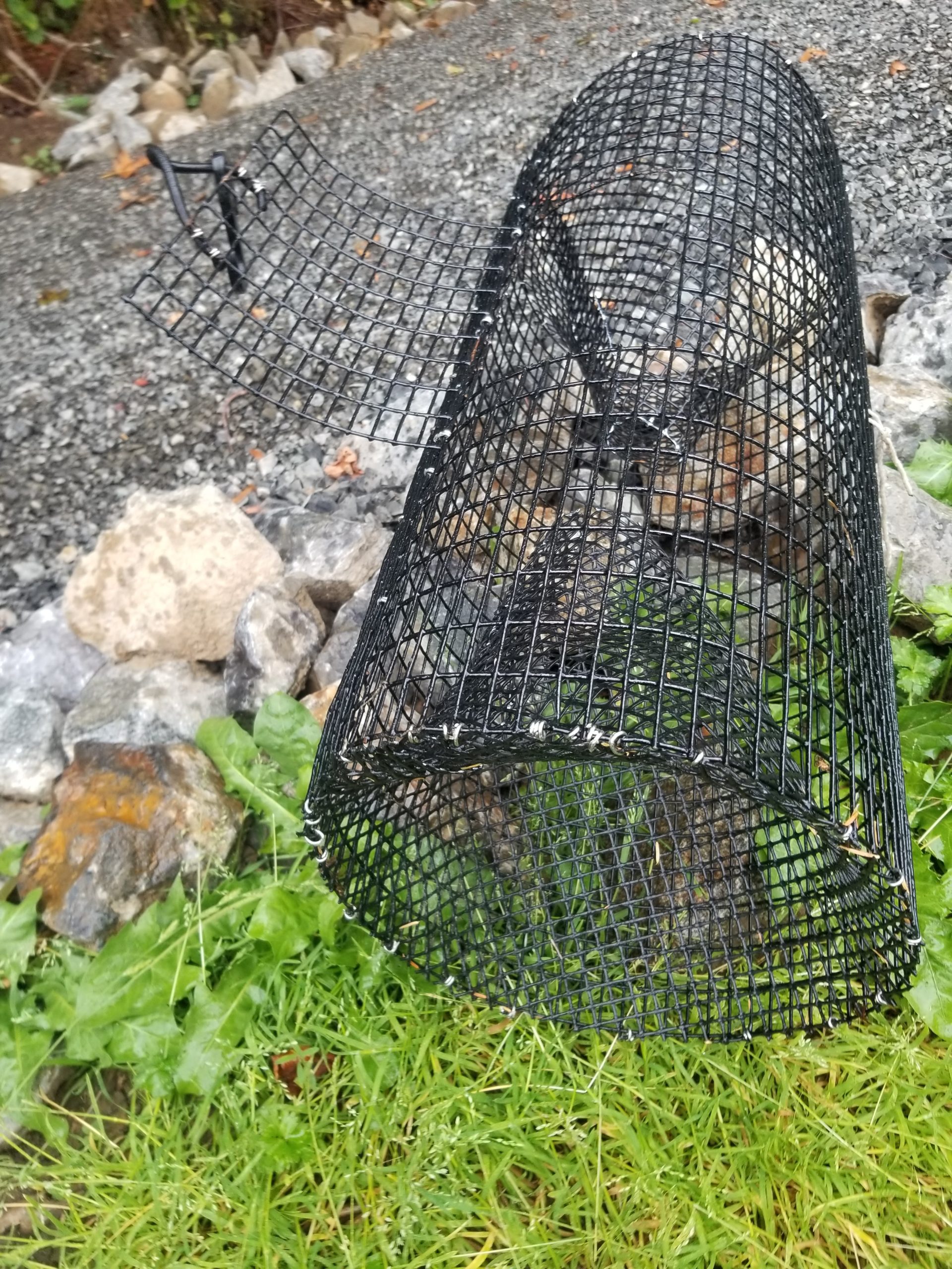 Gallery – Washington Crawfish Company