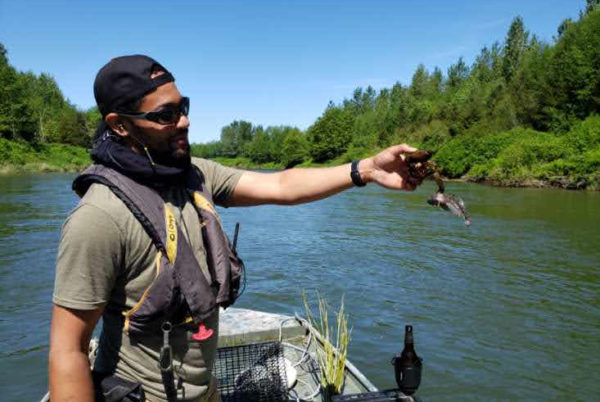 | Signal Crawfish PNW | Crawfish 101